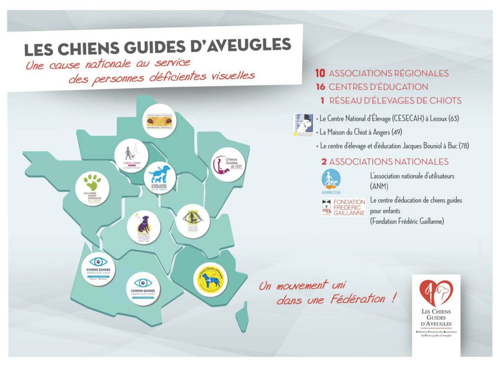 La FFAC - Chiens Guides d’Alienor